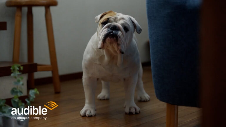 WORKS | VSQ | 西日本最大級の総合映像プロダクション