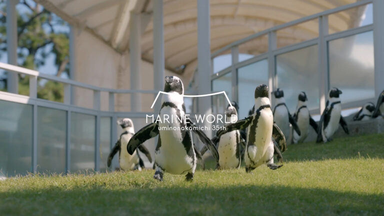 WORKS | VSQ | 西日本最大級の総合映像プロダクション